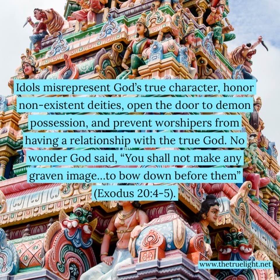 True Light Images | THE TRUE LIGHT PROJECT